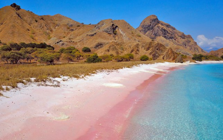 Fenomena Pasir Pink: Indah tapi Nggak Semua Pantai Punya! – Pasundan ...