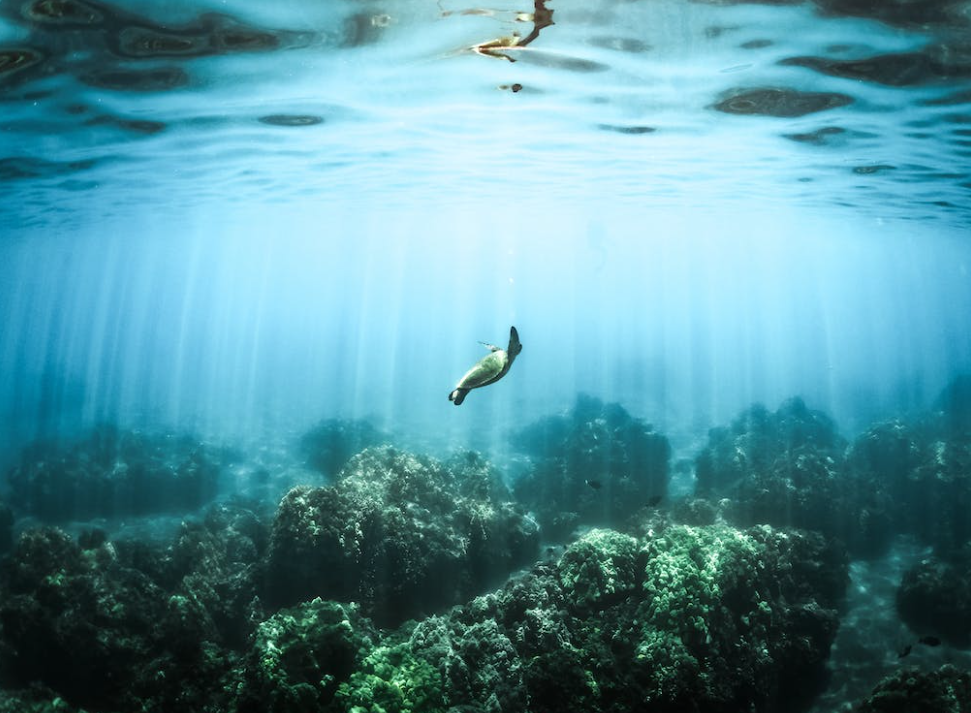 Kamu Takut Terhadap Laut? Thalassophobia, Cari Tahu dan Kenali ...