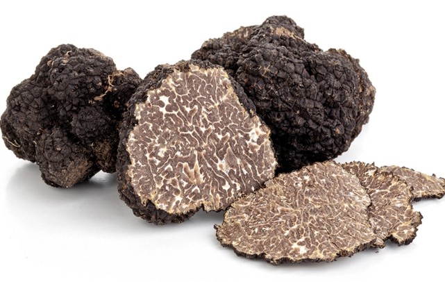 Mencoba Truffle, Aroma Khas Jamur Legendaris dalam Dunia Kuliner ...