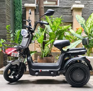 5 Sepeda Listrik Roda 3 Murah Transportasi Hemat dan Ramah Lingkungan ...