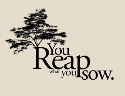 Hukum Tabur Tuai dalam Kehidupan Sehari-hari: Hati-hati, Karma is Real ...