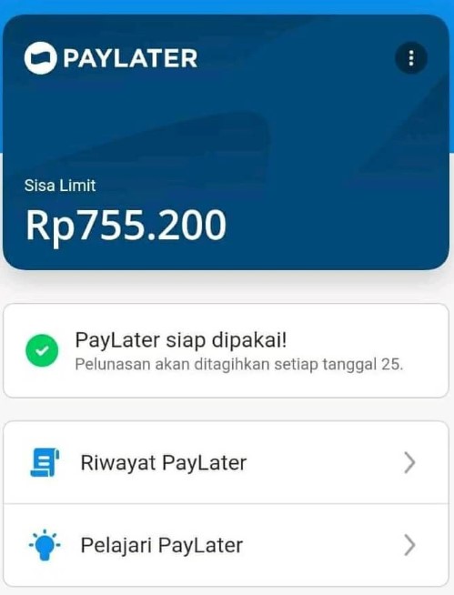 Spall-spill Cara Menggunakan DANA Paylater Gaskeun No Ribet-ribet ...