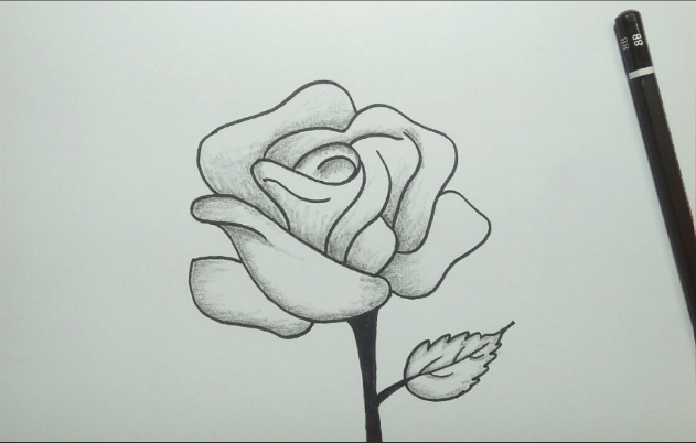 Tips And Trik! Cara Menggambar Bunga Mawar Mudah Dan Kreatif – Pasundan ...