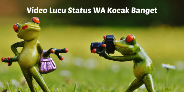 Tahapan Tips Mudah Merekam dan Mengirim Video Singkat status wa ...