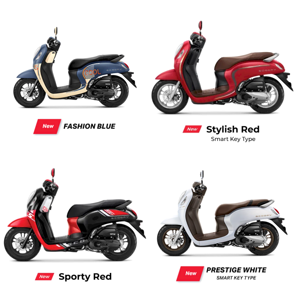 Warna Scoopy Baru 2024,8 Pilihan Terbaikmu Untuk Tampil Beda ...