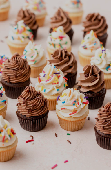 Exploring the Delightful World of Mini Cupcakes: 5 Best Mini Cupcakes ...