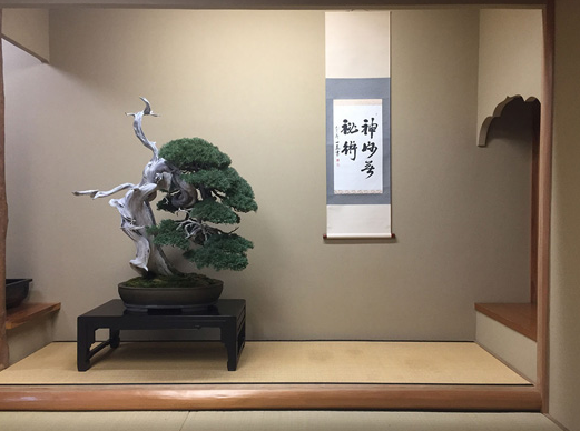 Bonsai Paling Mahal, Ada yang Mencapai Hingga Milyaran Rupiah ...