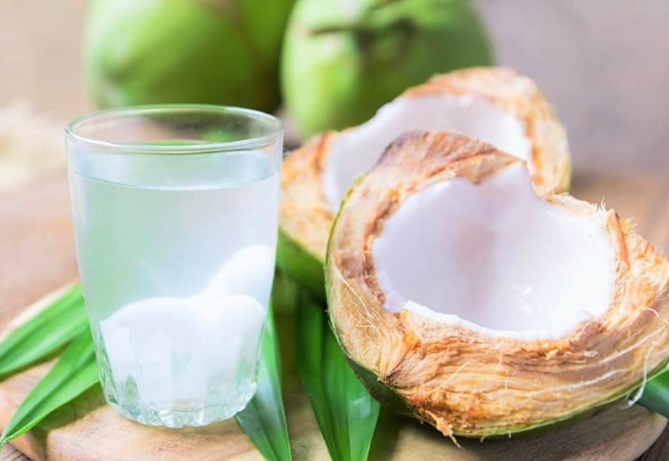 12 Manfaat Air Kelapa Muda untuk Kesehatan, Cek 12 Manfaatnya Disini! – Pasundan Ekspres