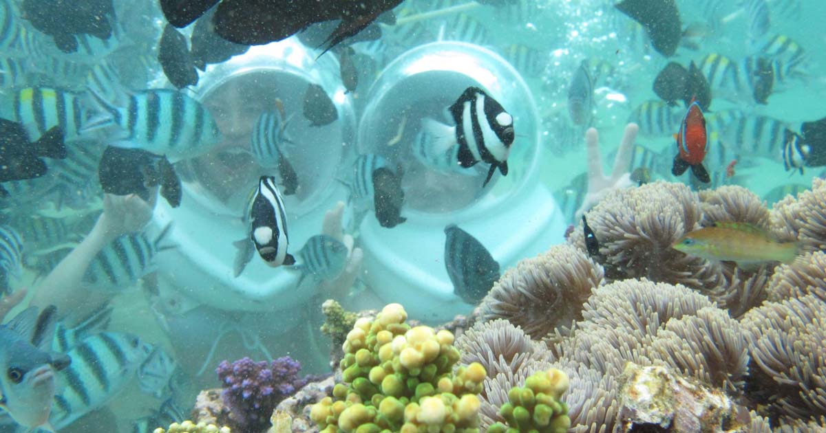 Sea Walk di Sanur Bali, Harga Tiket dan Fasilitas yang Didaptakan ...