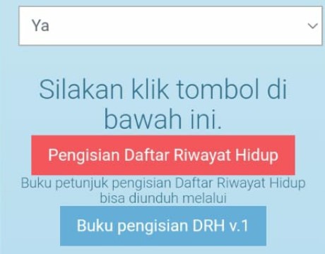 Tahapan dan Langkah-langkah Pengisian DRH NI PPPK 2023, Wajib Disimak! – Pasundan Ekspres