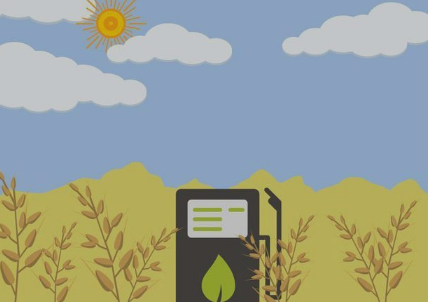 Mengenal Pengertian dan Jenis-jenis Biofuel, Apa Saja? – Pasundan Ekspres