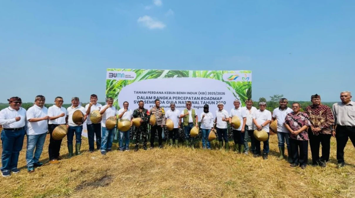 Percepatan Swasembada Gula, PTPN Tanam Pertama Kebun Benih Induk di ...