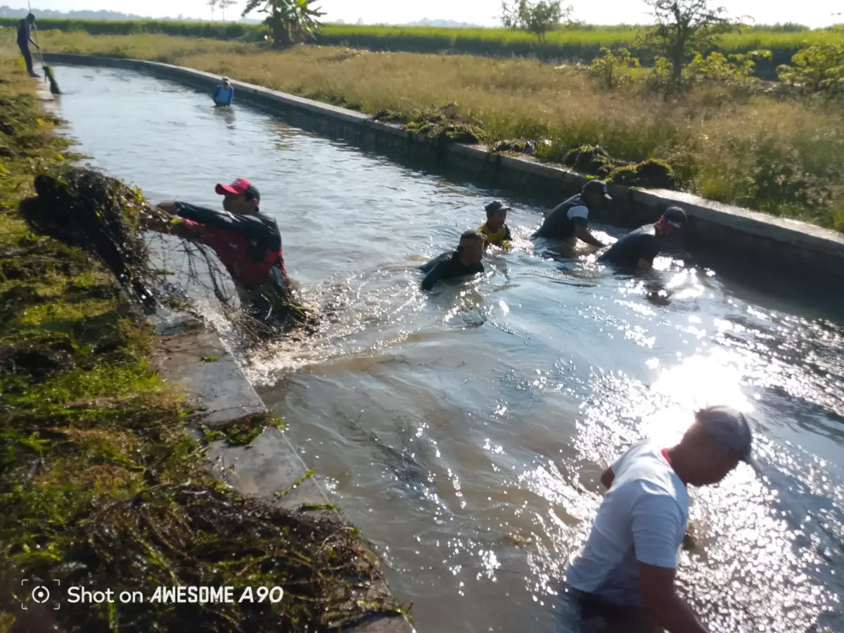 Jelang Musim Tanam Pemcam Bareng Petani Normalisasi Saluran Irigasi ...